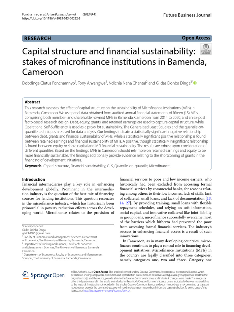 Capital Structure and Financial Sustainability: Stakes of Microfinance ...