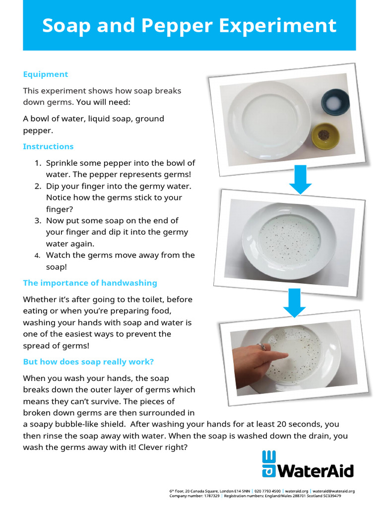 wateraid-soap-pepper-experiment | PDF
