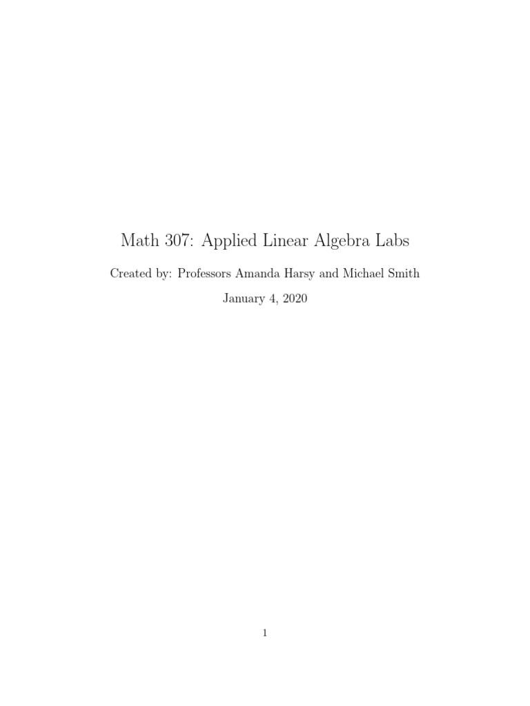Linear Algebra Lab Packet 2020 Pdf Matrix Mathematics Ct Scan 