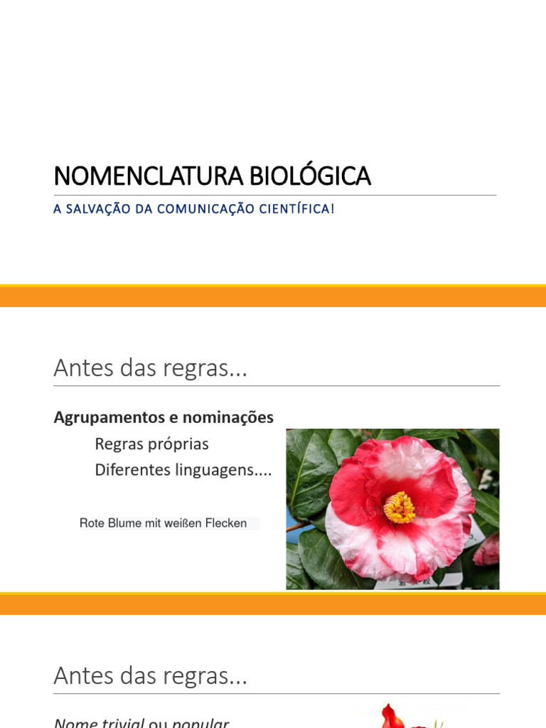 Nomenclatura Biológica e Comunicação Científica | PDF | Taxonomia ...