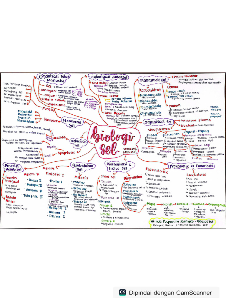 Mindmap Biologi Sel | PDF