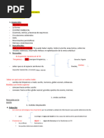 Maniobra de Mathieu en Exploración Abdominal | PDF | Abdomen | Bazo