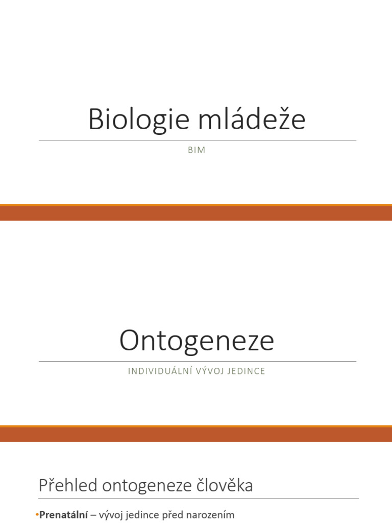 BIM Ontogeneze | PDF