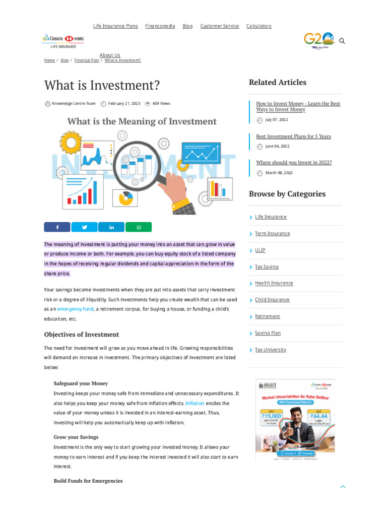 Investment Basics for Beginners | PDF | Investing | Insurance