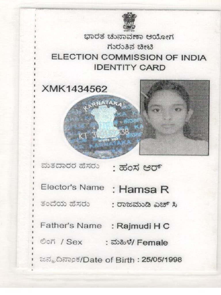 Voter ID | PDF