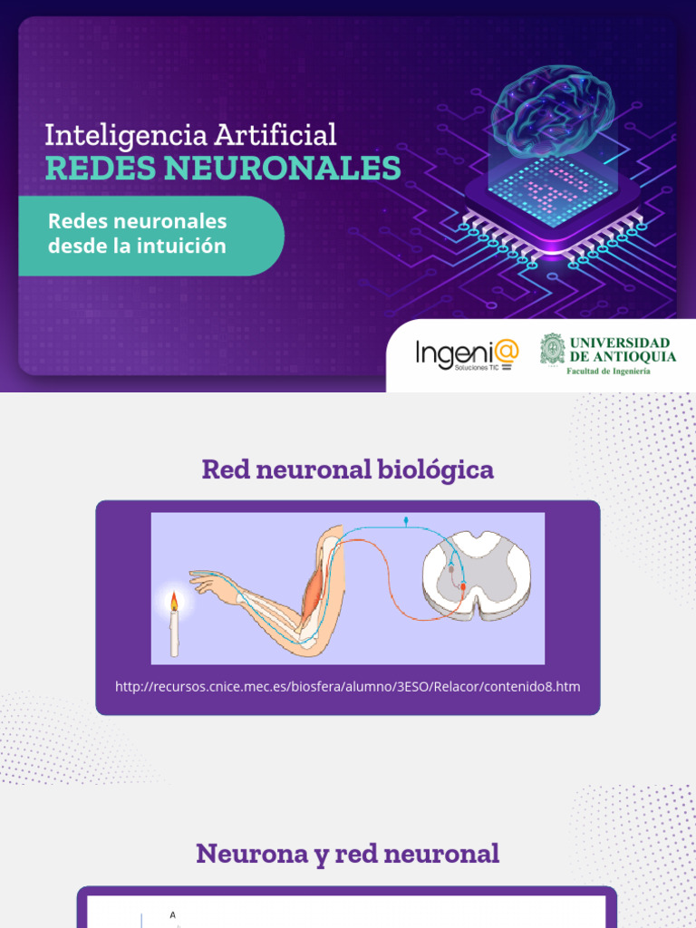 A. ¿Qué Son Las Redes Neuronales - Presentación | PDF | Red neuronal ...