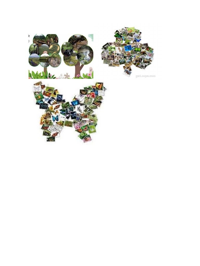 Ejemplos de Collage | PDF