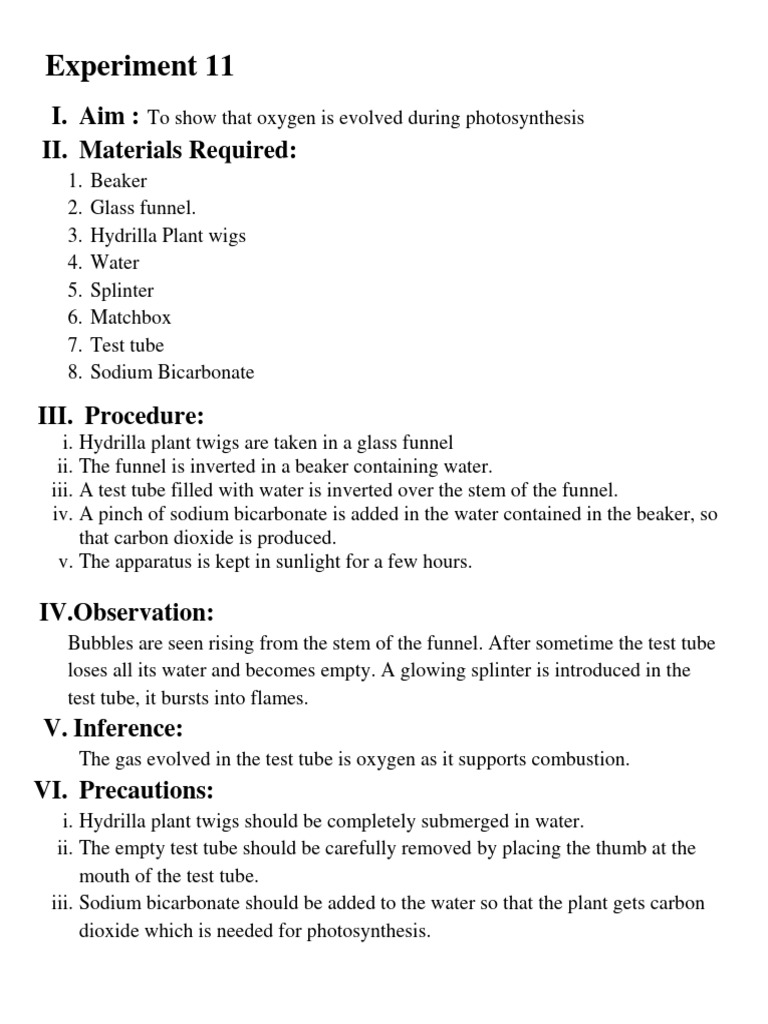 Hydrilla Experiment: Oxygen Production | PDF