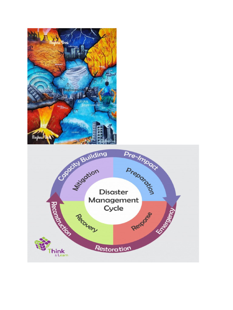 Disaster Management | PDF