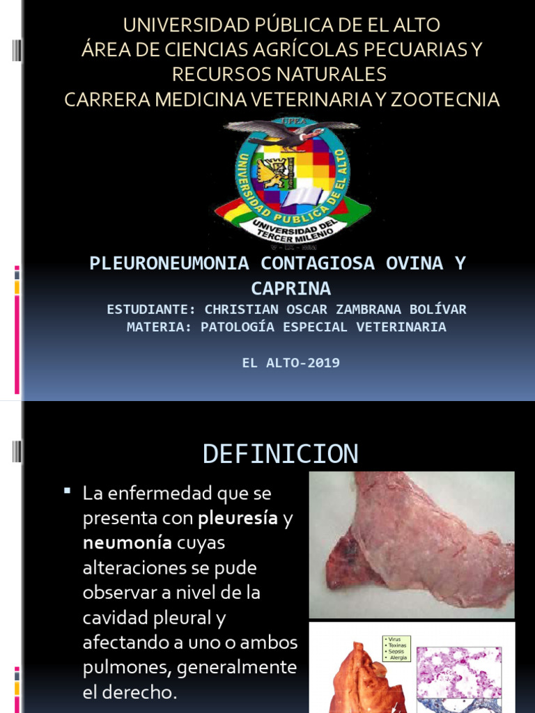 Pleuroneumonia Contagiosa Ovina y Caprina | PDF