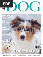 Planner Bundle - Wolfie Designs | PDF