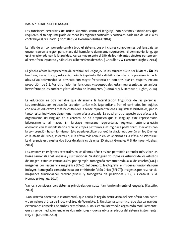 Bases Neurales Del Lenguaje | PDF | Afasia | Cerebro