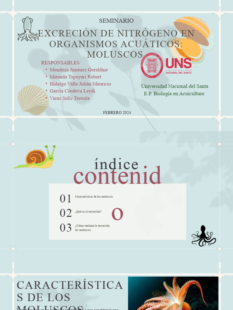 Excreción de Moluscos | PDF | Moluscos | Excreción