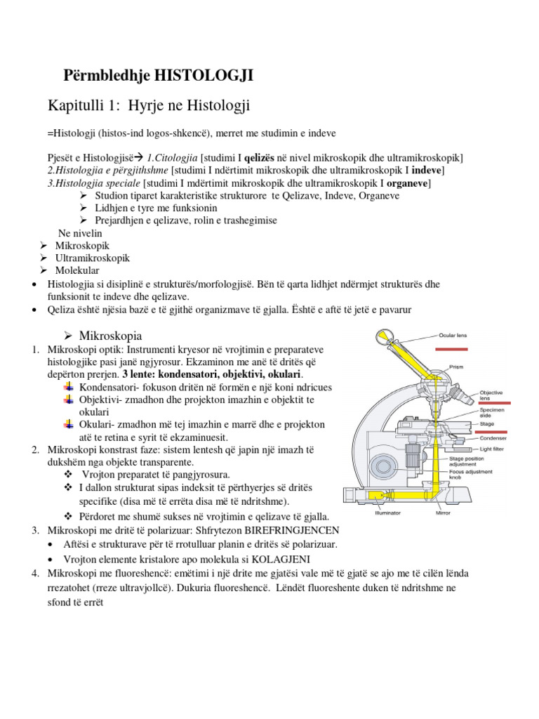Histo Permbledhje | PDF