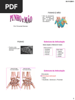 Aula 6 Ossos, Músculos, Inervação e Vascularização Do Punho e Mão | PDF ...