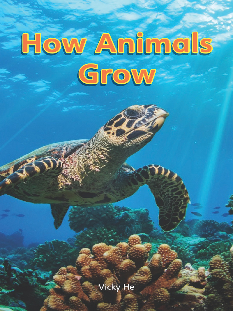 How Animals Grow Booklet Web | PDF | Sea Turtle | Nest