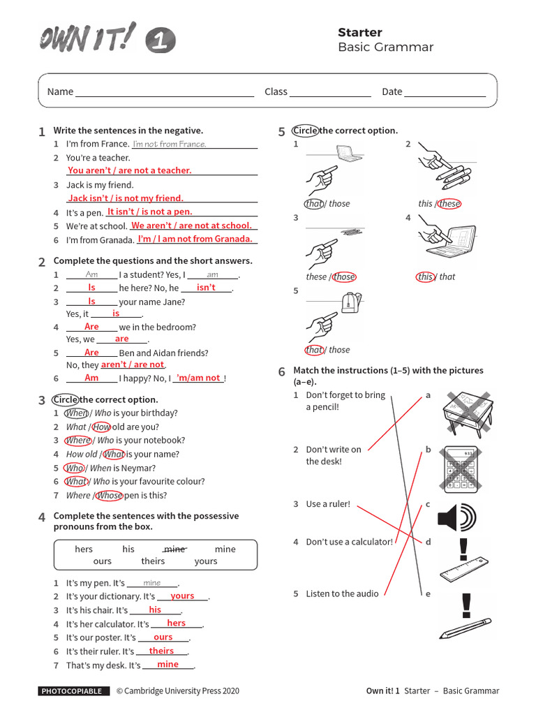Basic Grammar Starter With Answers | PDF
