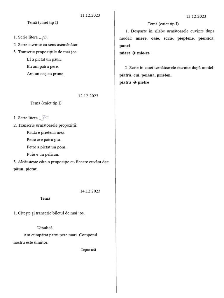 Temă - Caiet Tip 1 CLR, Litere, S, T - Copie | PDF