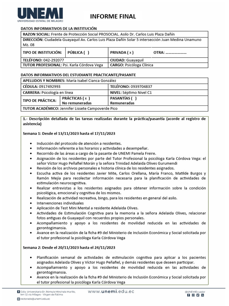 Informe Final Micg | PDF | Sicología | Adultos