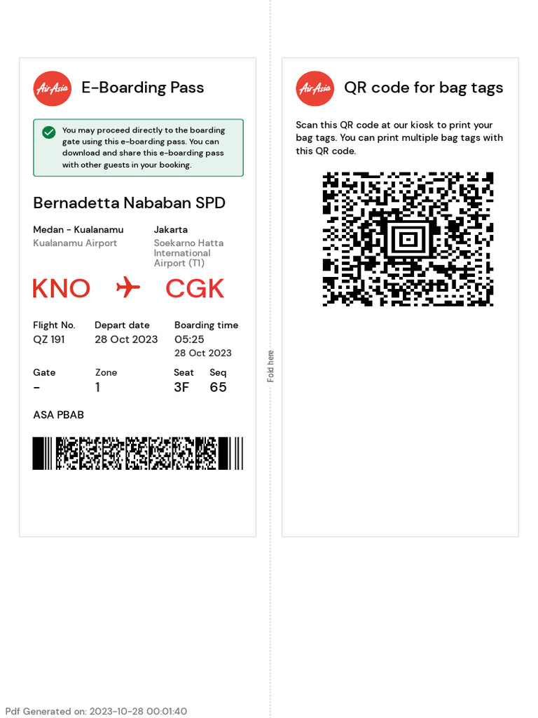 E-Boarding Pass QR Code For Bag Tags | PDF