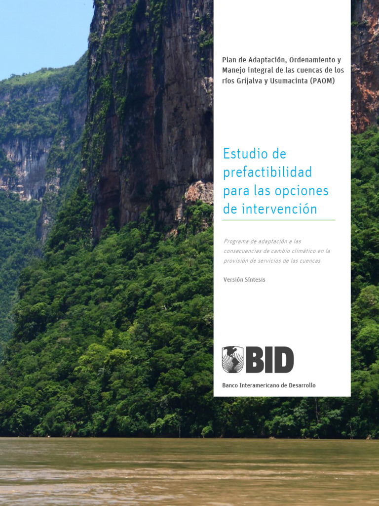 PAOM Estudio de Prefactibilidad para Las Opciones de Intervención ...