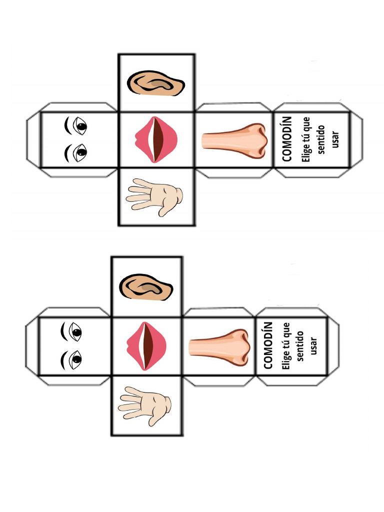 Dados Didácticos - Sobre Los 5 Sentidos | PDF