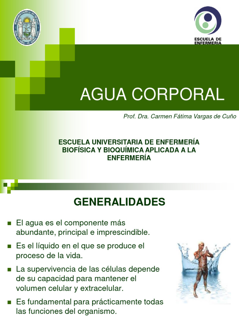 AGUA CORPORAL clase | PDF | Sodio | Agua