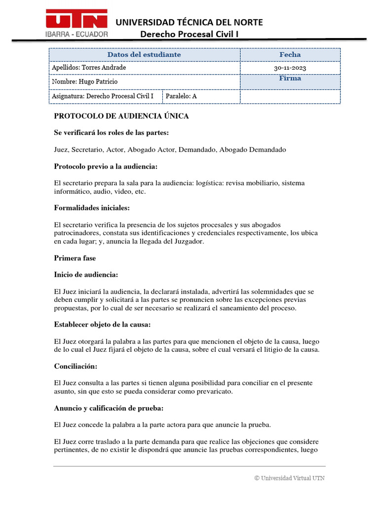 PROTOCOLO DE AUDIENCIA SUMARIO | PDF | Apelación | Demanda judicial