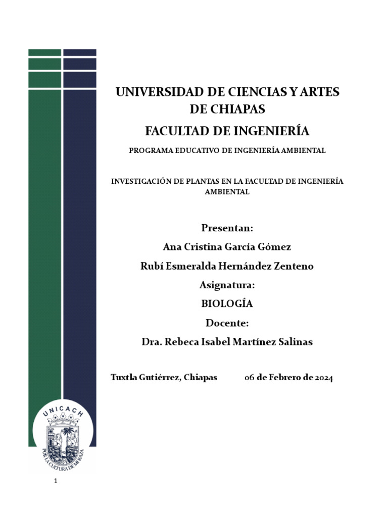 Investigación de Las Plantas | PDF | Plantas | Botánica