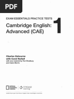 CAE C1 Vocabulary List | PDF