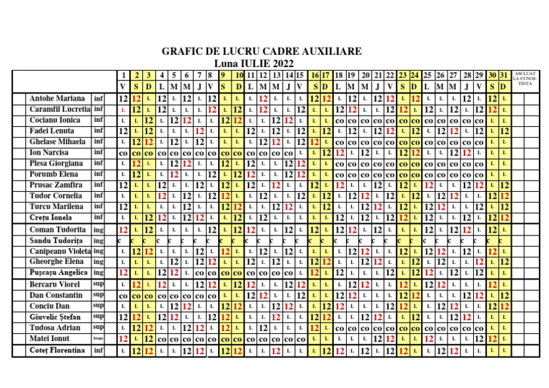 INFIRMIERE IULIE 2022w | PDF