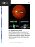 Optical Coherence Tomography (OCT) Handbook | PDF | Visual System ...