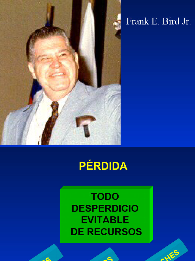 Control-de-Perdidas-0 Frank Bird | PDF | Auditoría | Riesgo