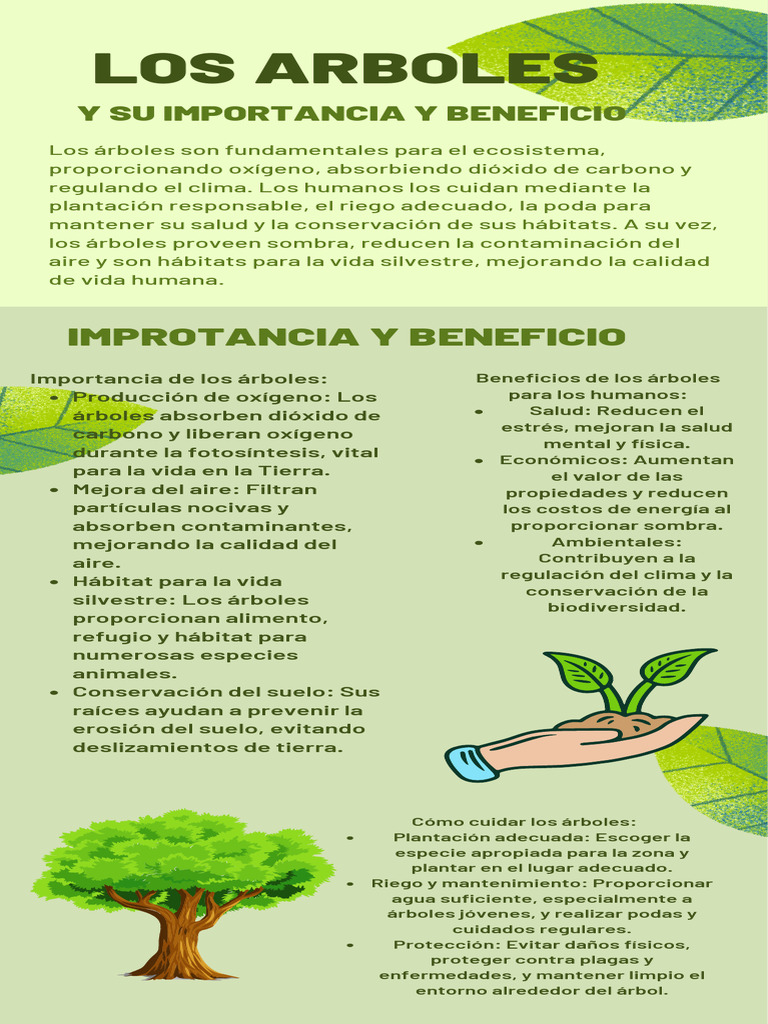 Infografía de Los Arboles | PDF