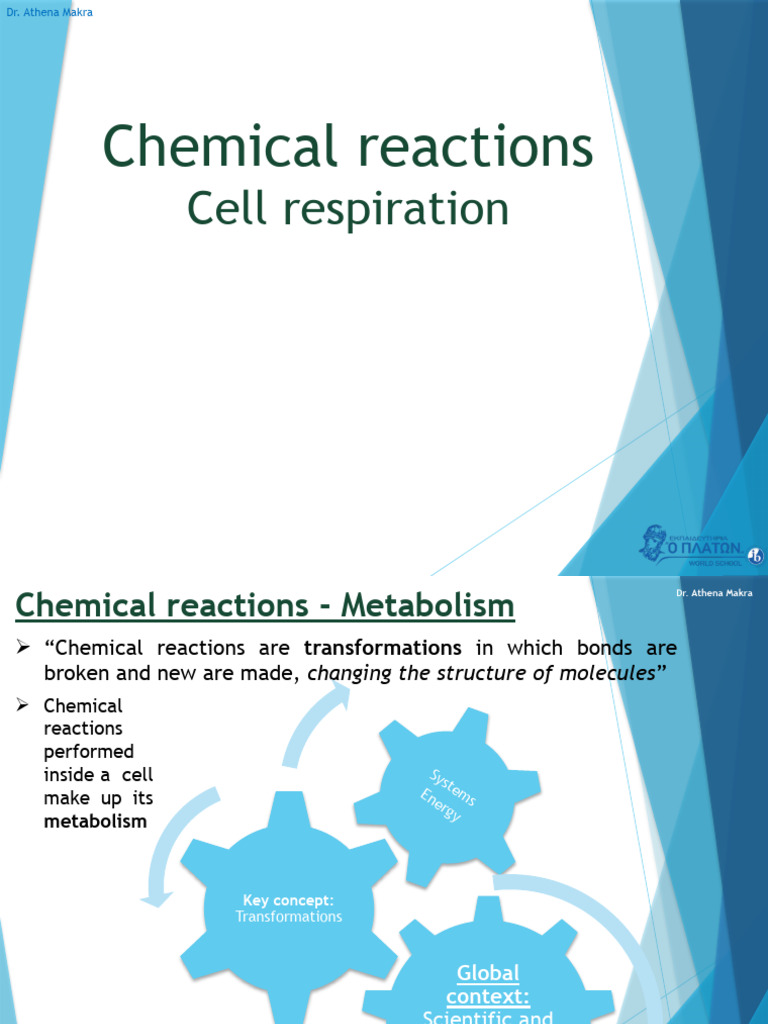 Chemical Reactions Cell Respiration | PDF | Cellular Respiration ...