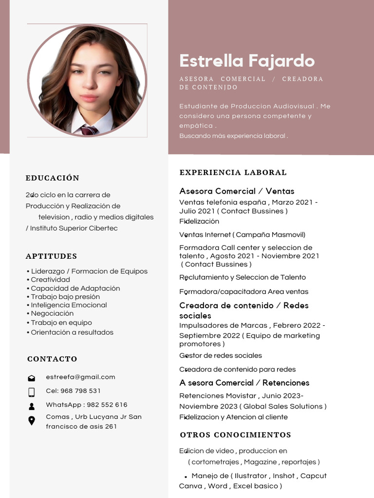 Estrella Fajardo cv2024 PDF | PDF | Inteligencia de negocios | Negocios ...