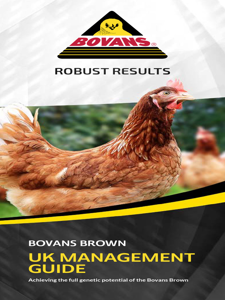 Bovans Brown Management Guide 071021 | PDF | Poultry Farming | Agriculture
