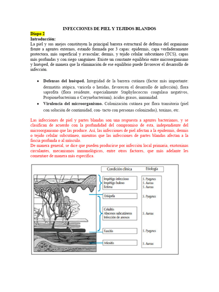 Infecciones de Piel y Tejidos Blandos Completo | PDF | Staphylococcus Aureus | Epidemiología
