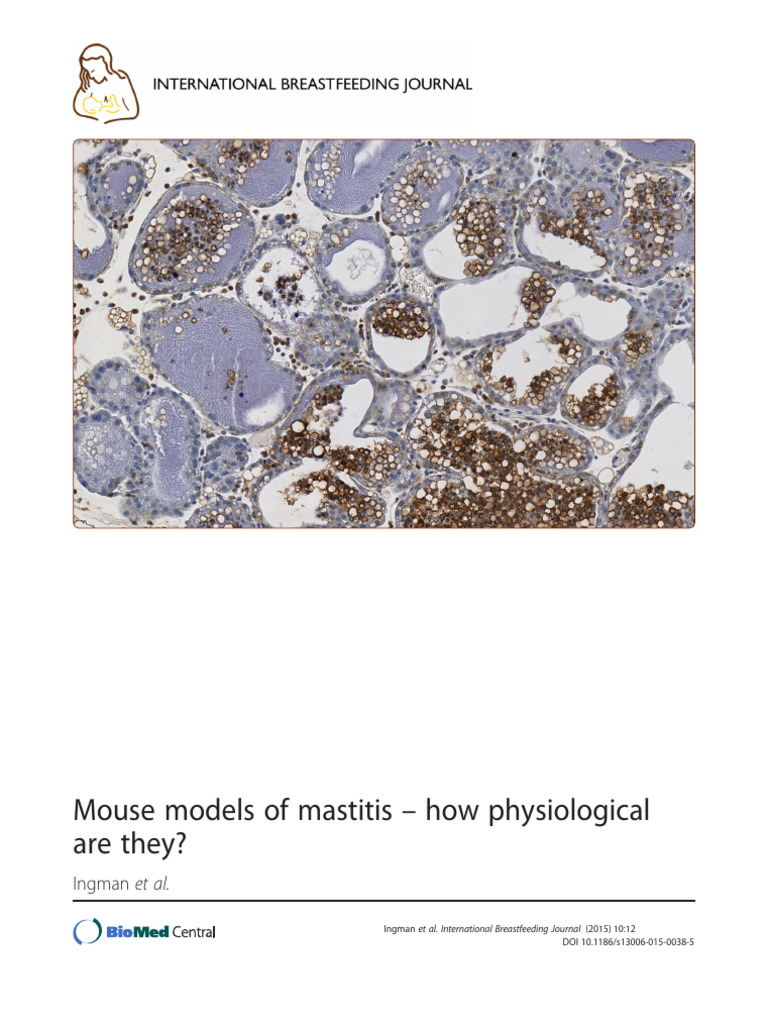 Mouse Models of Mastitis – How Physiological | PDF