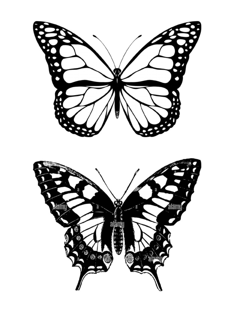 plantillas para colorear | PDF