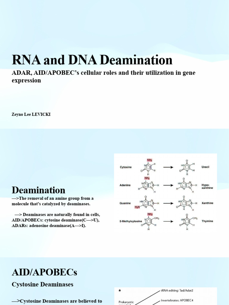 Rna Editing Pdf Dna Rna