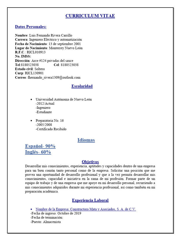 Curriculum Luis Fernando Rivera | PDF | Business | Informática