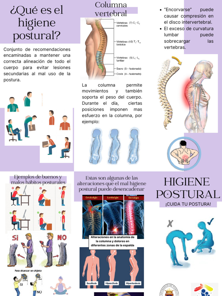 Higiene Postural | PDF | La columna vertebral | Sistema esquelético