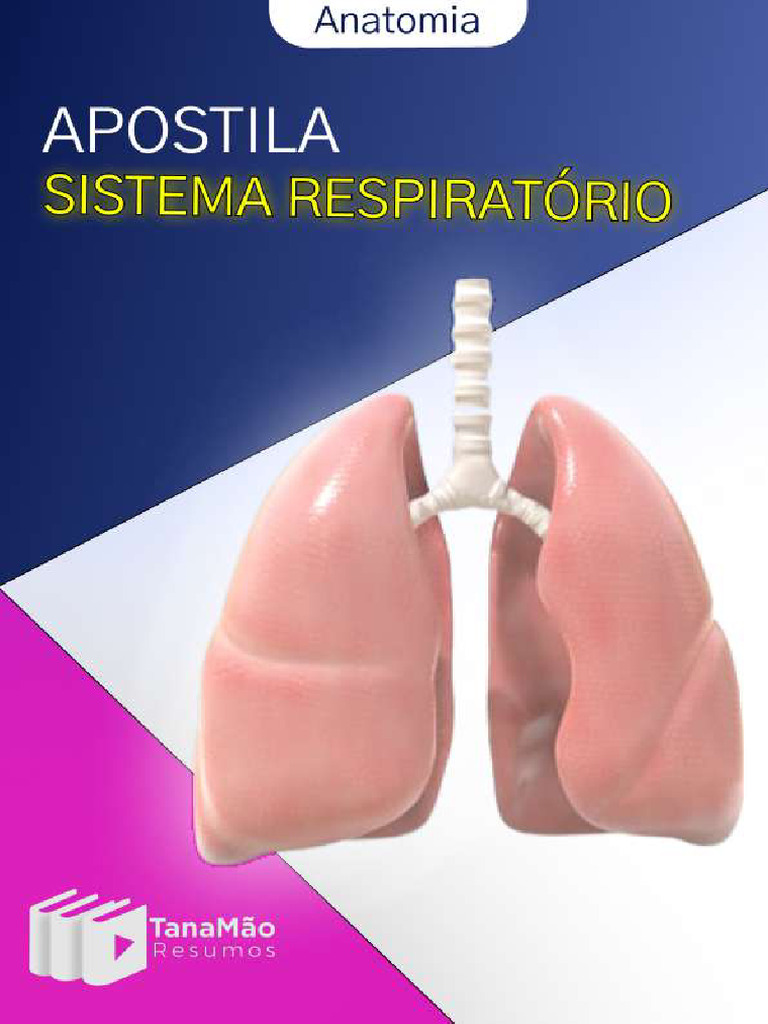 5 - Ebook Clube Da Anatomia Sistema Respiratorio | PDF | Pulmão ... 5 - Ebook Clube Da Anatomia Sistema Respiratorio | PDF | Pulmão ...