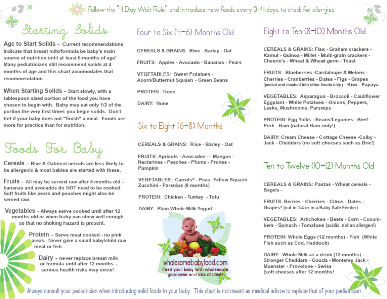 Baby Solid Food Introduction Guide | PDF