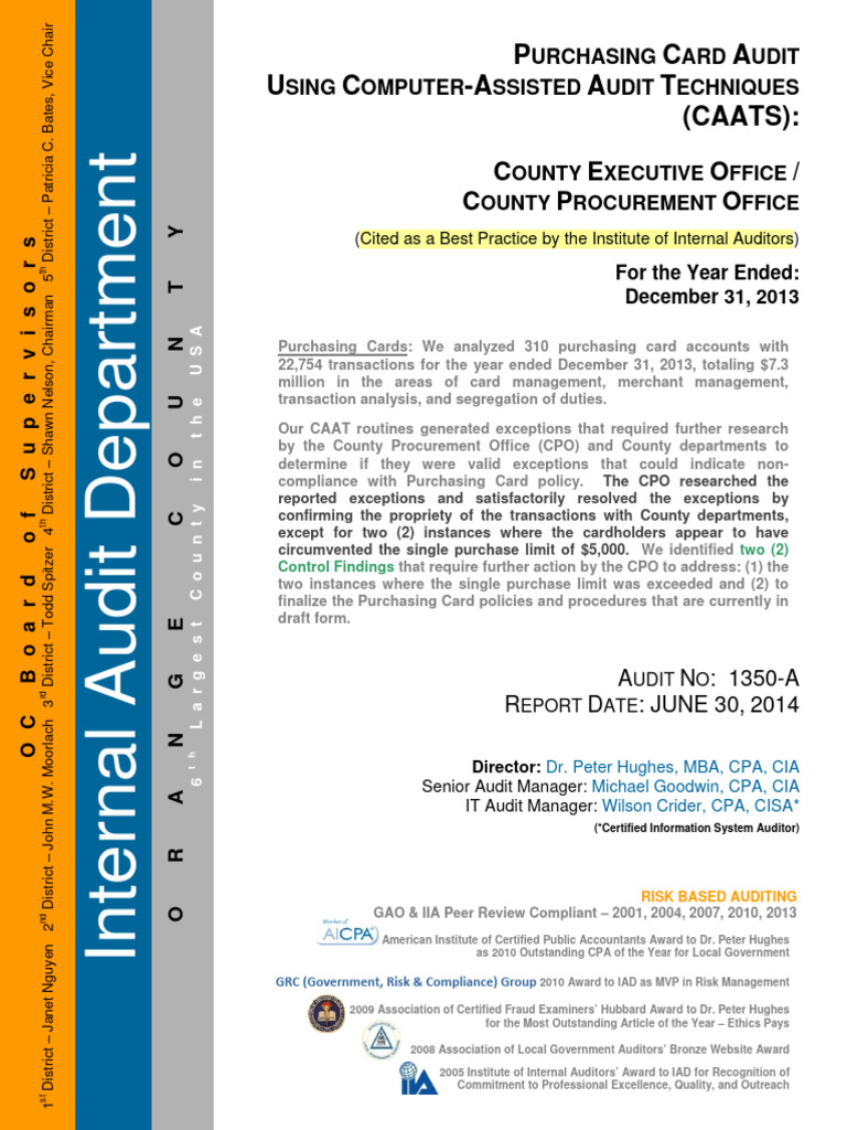 1350 B Payroll Audit Using Computer Assisted Audit Techniques CAATs of ...