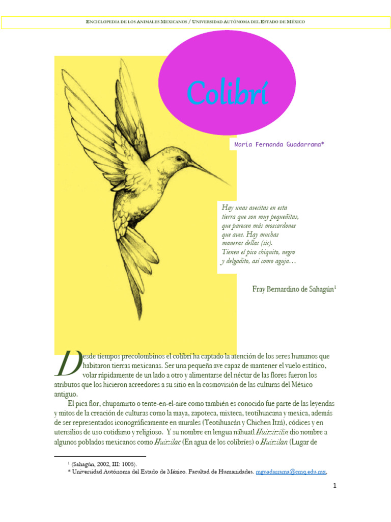colibr.-descargable | PDF | México | Cultura de las Americas