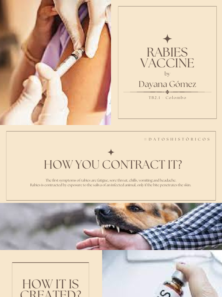 Rabies Vaccine - TB2.1 - Project 2 | PDF | Self-Improvement | Wellness