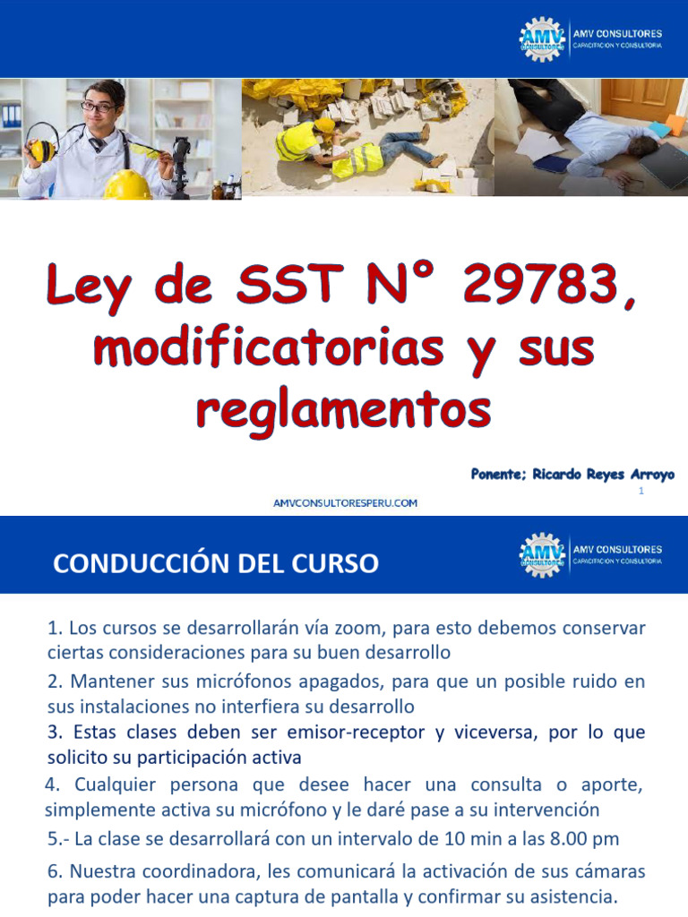 Ley 29783, Modificatorias y Reglamento | PDF | Derecho laboral | Seguridad y salud ocupacional