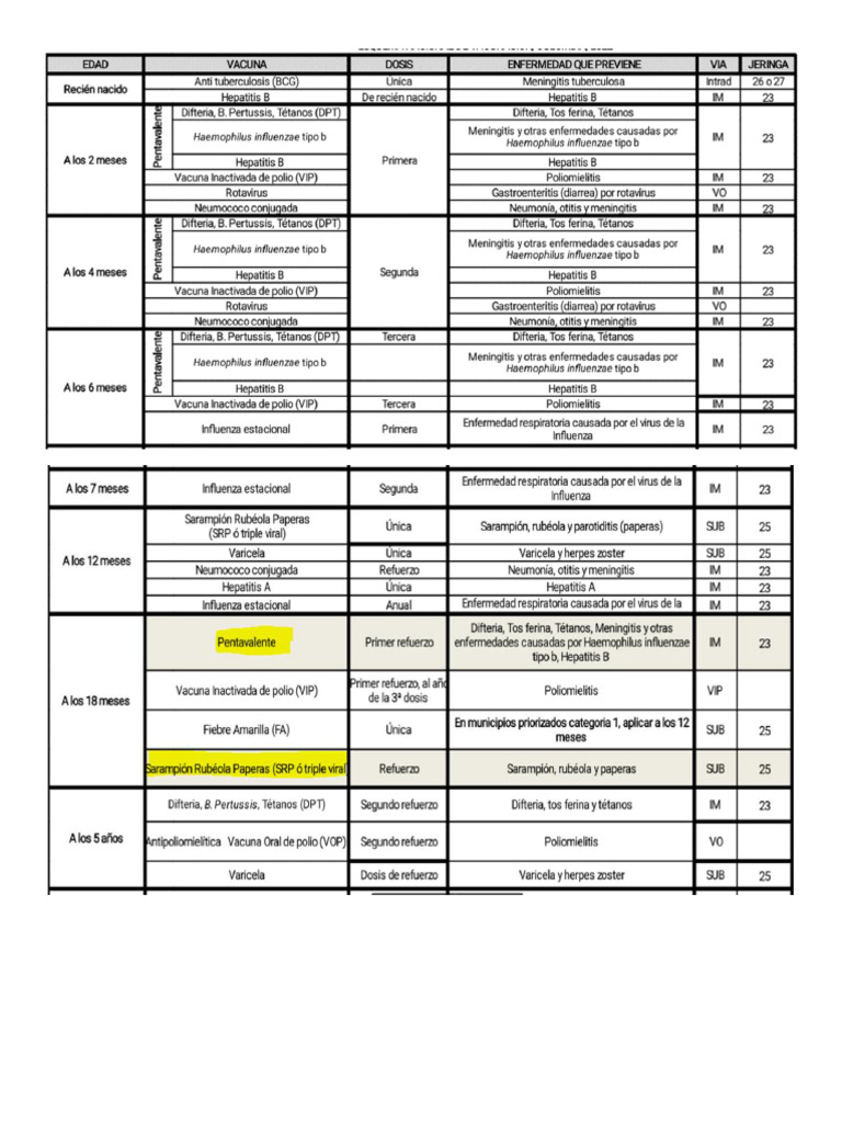 Vacunas 2023 | PDF | Inmunología | Especialidades Medicas